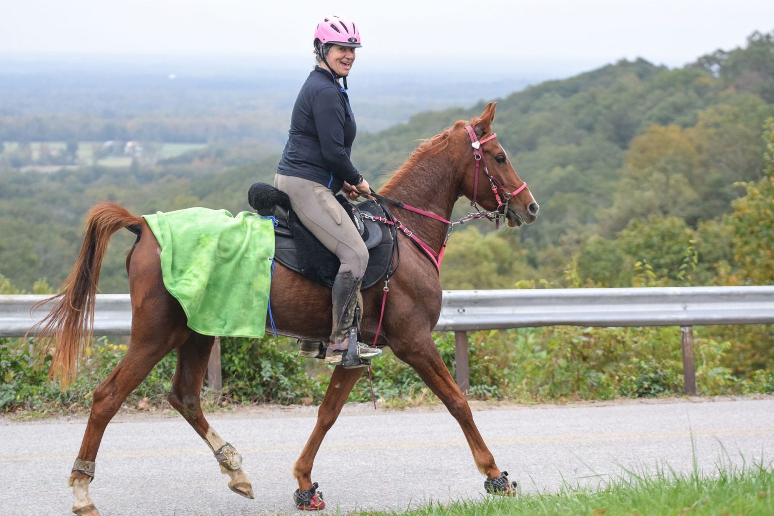 Endurance, CTR, and pleasure riding in Ohio and Nearby Areas | OAATS